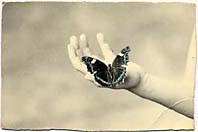 Visual Haiku - Photographs by Masao Yamamoto | LensCulture