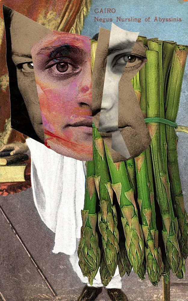 Terry Castle - Face Transplants | LensCulture