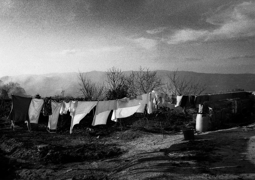 Maria Oliveira - Under the Surveillance of Ancient Animals | LensCulture