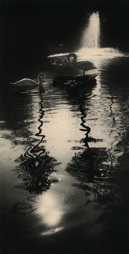 John Szarkowski Photographs - Photographs by John Szarkowski | LensCulture