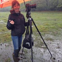 Between the Trees - Photographs by and interview with Ellie Davies ...